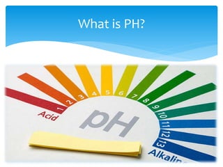 The Ph | PPT