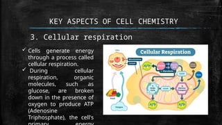 BIOCHEMISTRY 1st yearCHEMISTRY-OF-CELL_(1).pptx