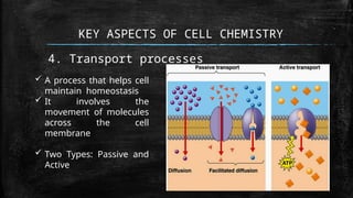 BIOCHEMISTRY 1st yearCHEMISTRY-OF-CELL_(1).pptx