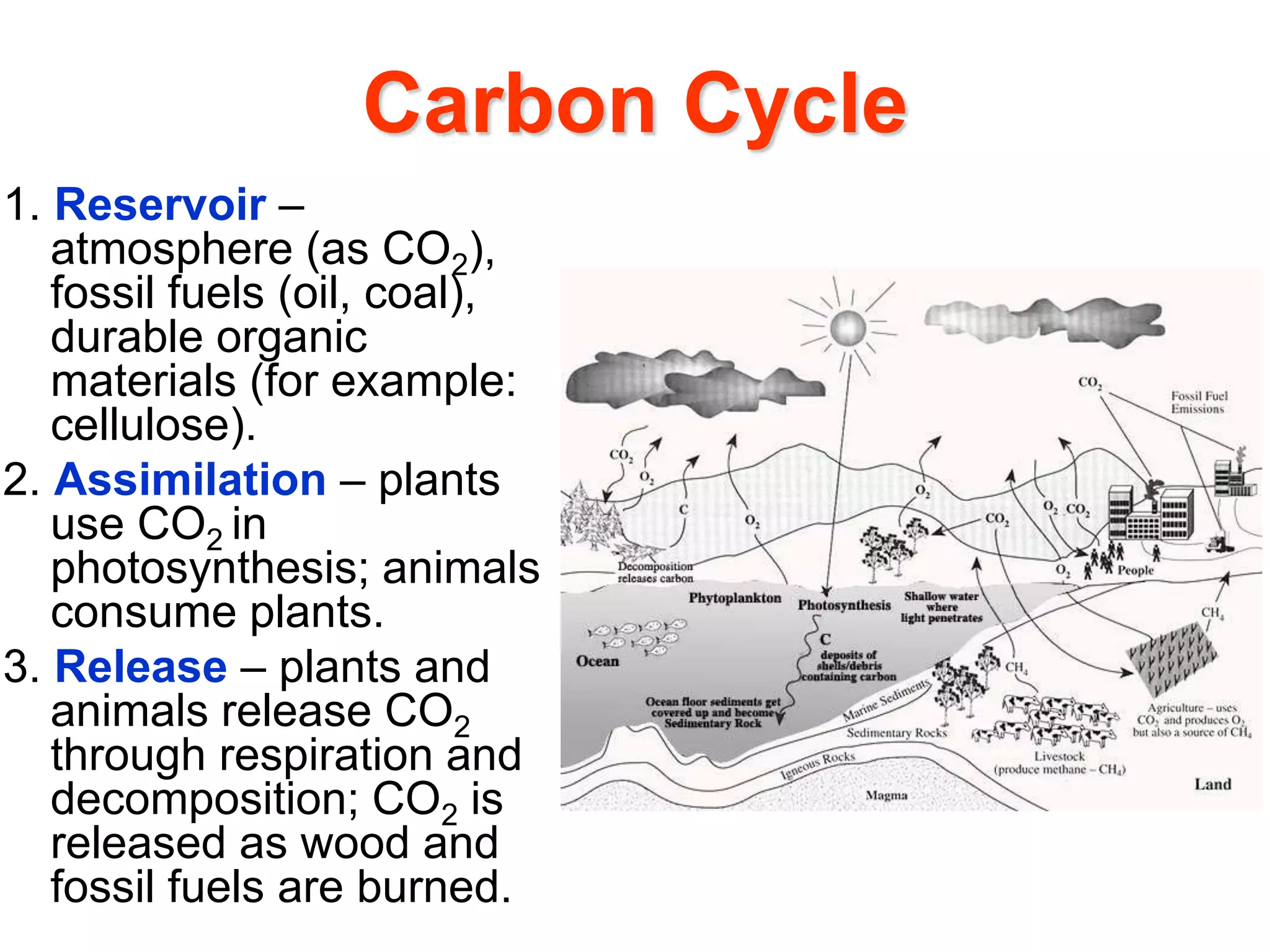 Chemistry of-the-atmosphere-4-biogeochemical-cycles | PPT