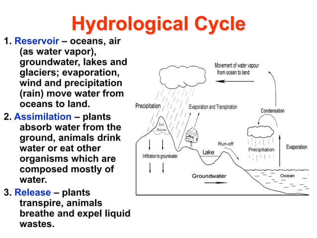 Chemistry of-the-atmosphere-4-biogeochemical-cycles | PPT