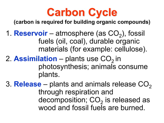 Chemistry of-the-atmosphere-4-biogeochemical-cycles | PPT