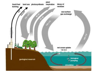 Chemistry of-the-atmosphere-4-biogeochemical-cycles | PPT