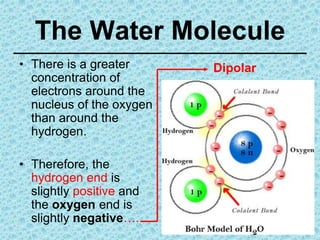 Chemistry of-water-2-physical-and-chemical-properties-of-water-updated ...