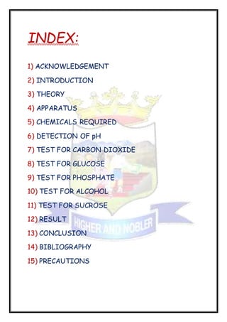 Chemistry project 1 | PDF