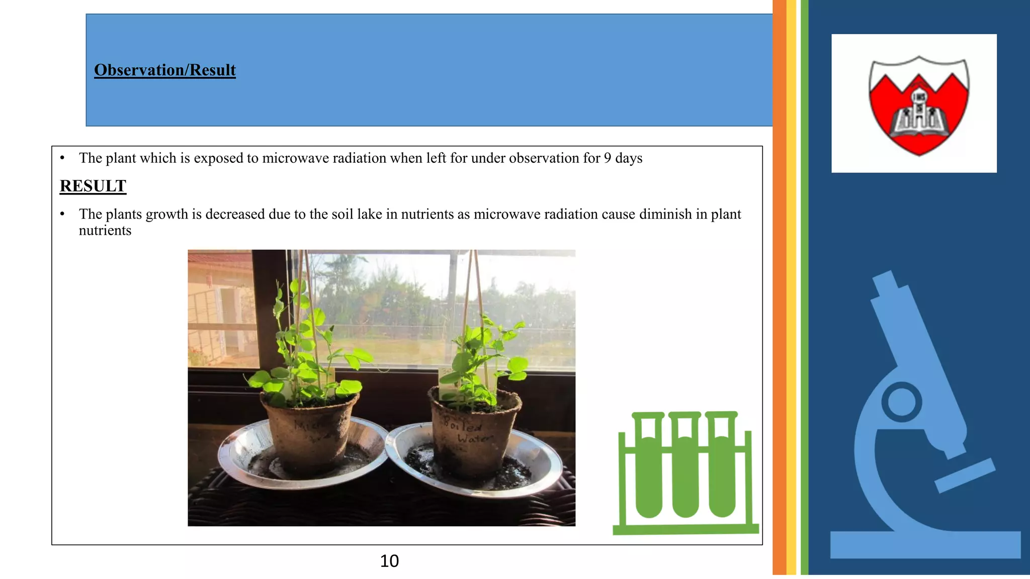 chemistry sample project work class 11 | PDF