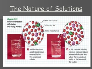 Chemistry-Unit 8 Notes HC (Solution Chemistry).pdf