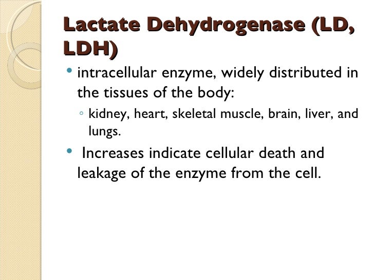 Chemistry2009 Laboratory
