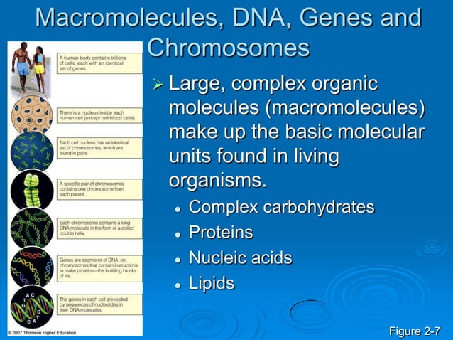 Chemistry and bio apes ppt chaper 2 | PPT