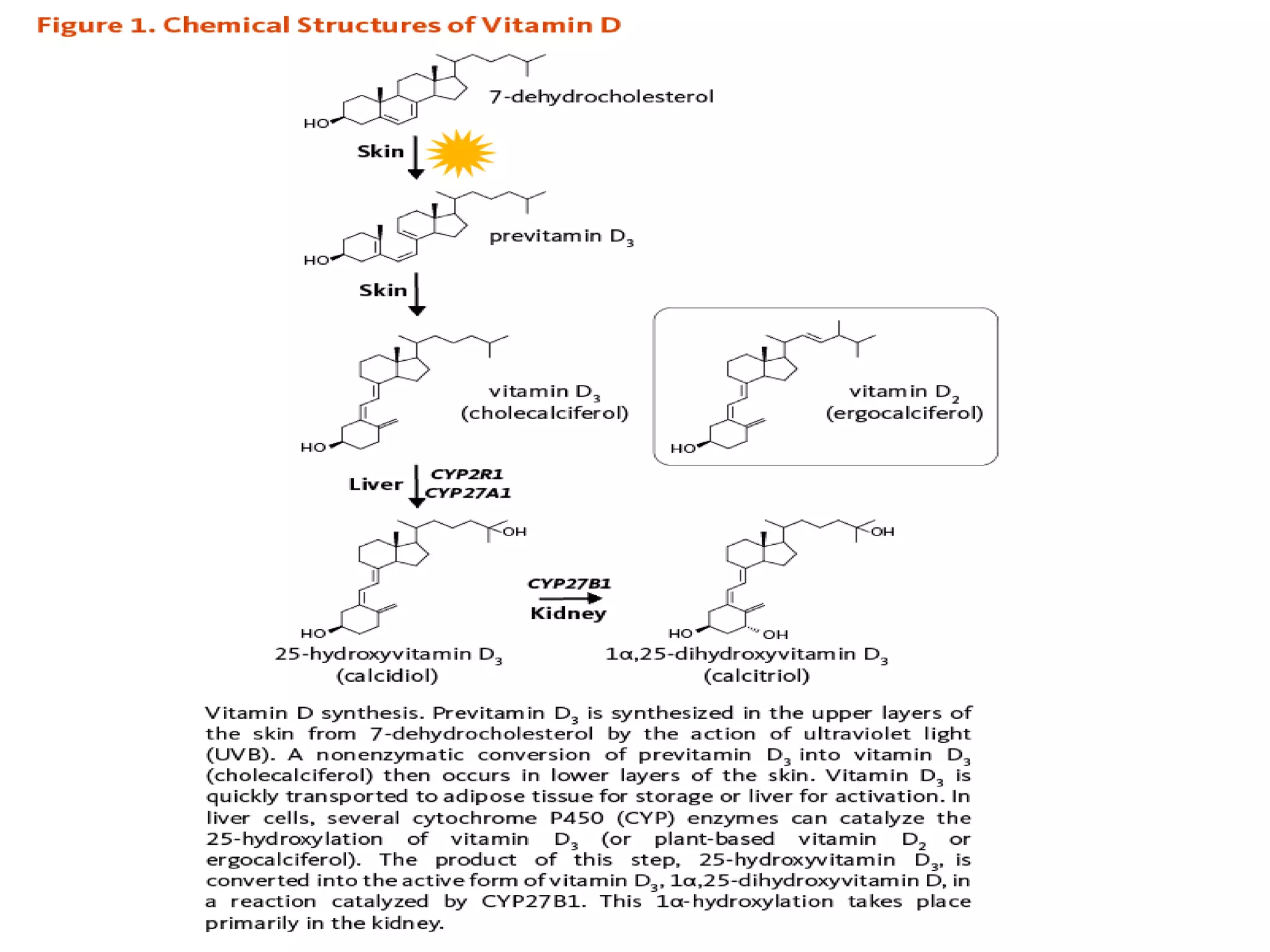 Chemistry, and biochemical role, rda, vitamin d | PPTX