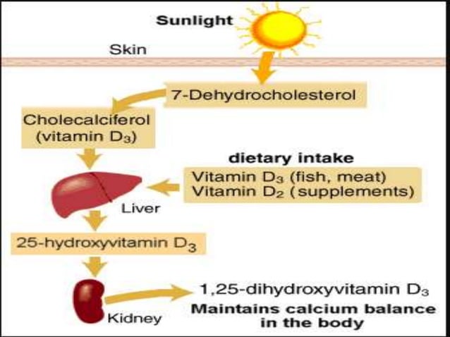Chemistry, and biochemical role, rda, vitamin d | PPTX