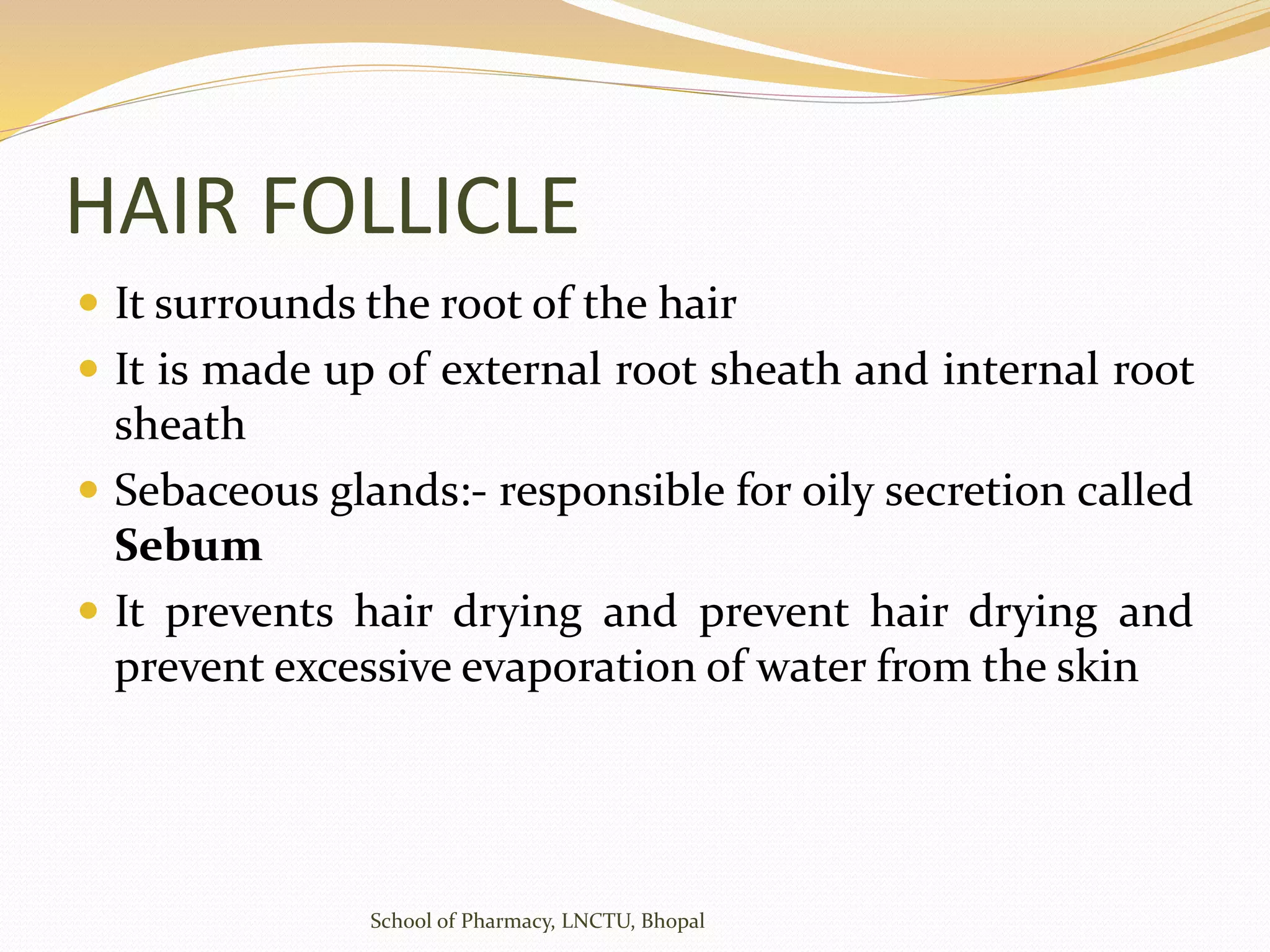 Chemistry and formulation of para phenylene diamine based hair dye | PPTX
