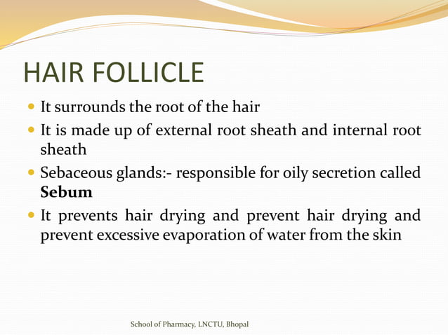Chemistry and formulation of para phenylene diamine based hair dye ...