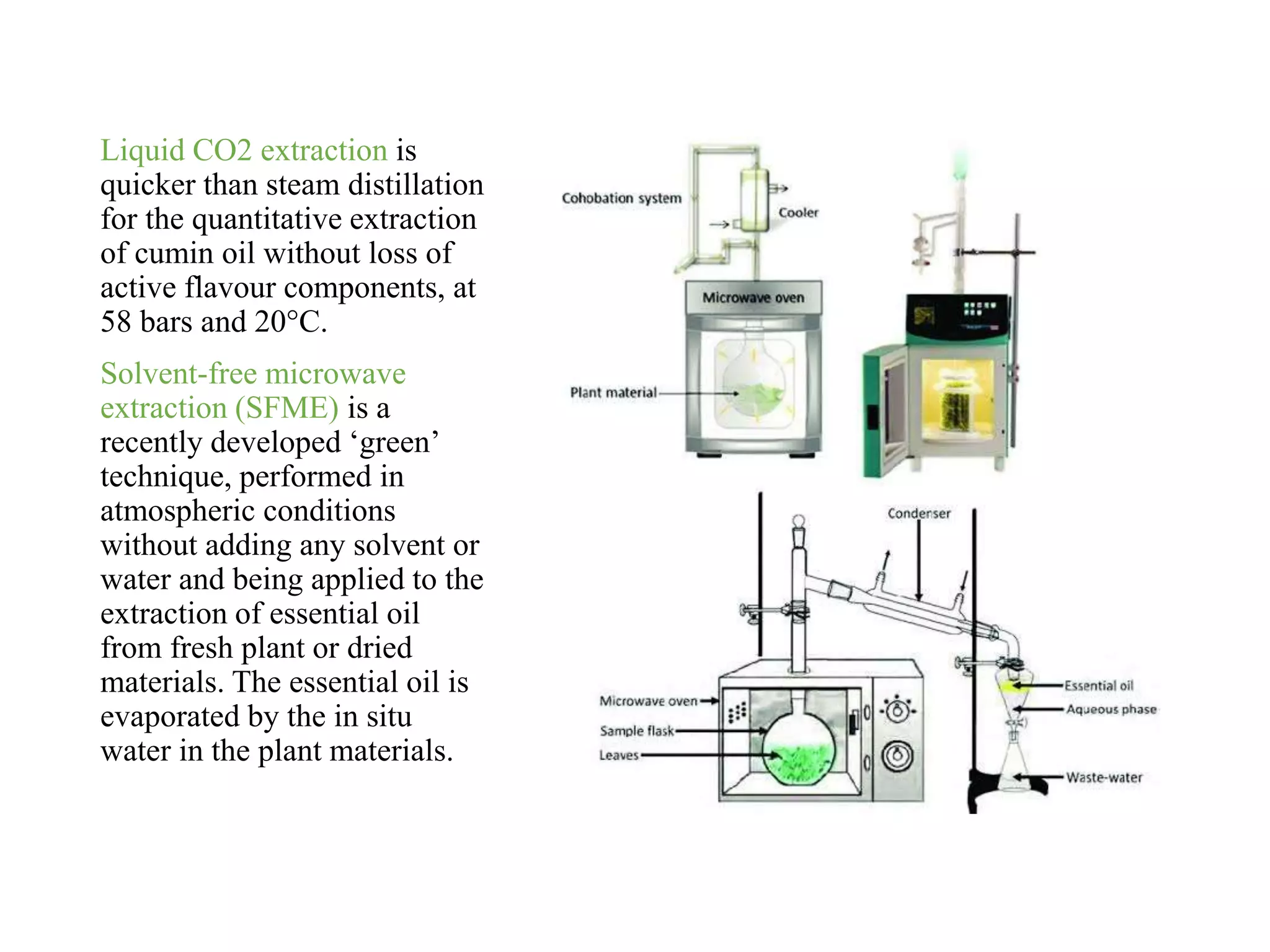 Chemistry and processing cumin | PPTX