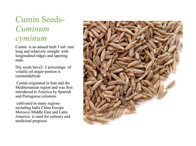 Chemistry and processing cumin | PPTX