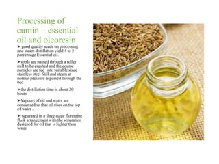 Chemistry and processing cumin | PPTX