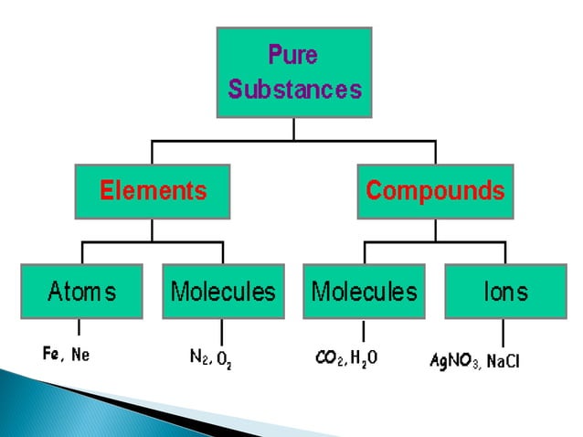 Chemistry and the Human Body. ppt.