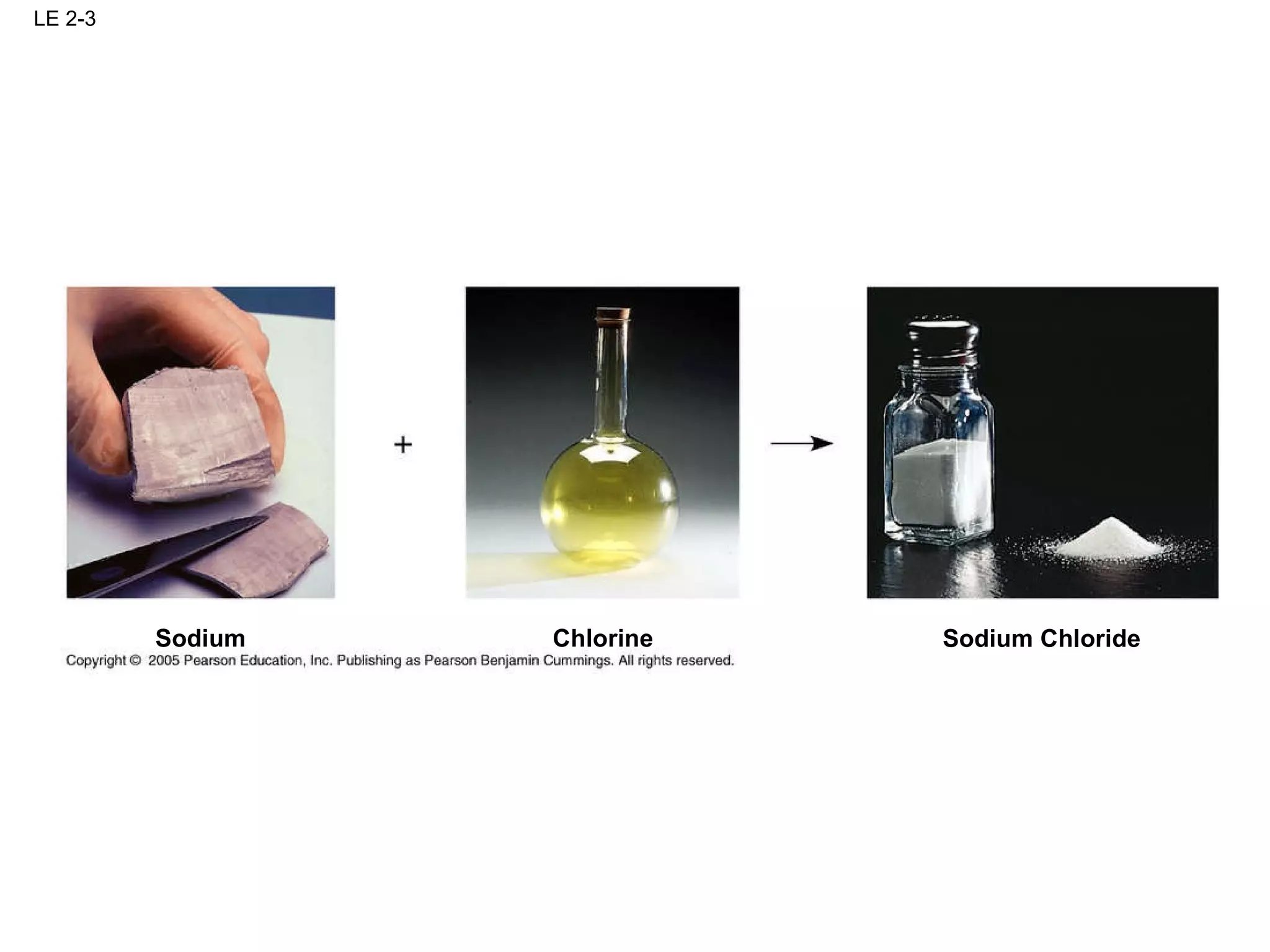 Biology - Chemistry of Life 1112 | PPT