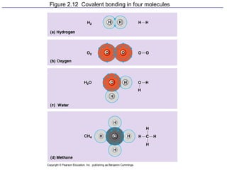 Biology - Chemistry of Life 1112 | PPT
