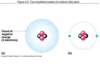 Biology - Chemistry of Life 1112 | PPT