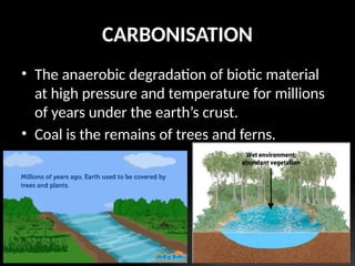 Foundation: INTRODUCTION TO CARBON CHEMISTRY | PPTX