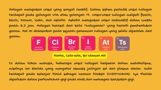 PPT KIMIA HALOGEN | PDF