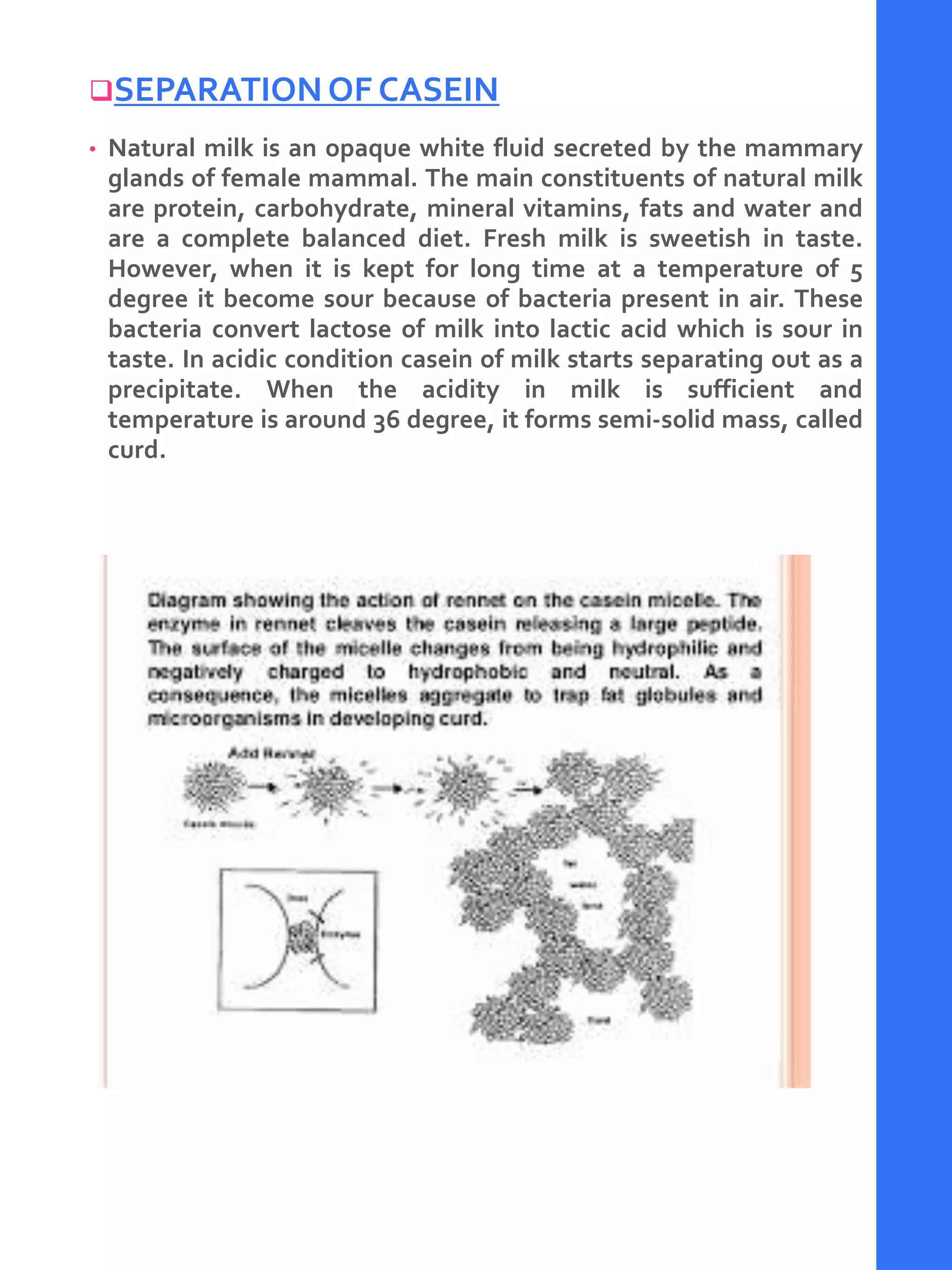 investigatory project casein Chemistry final | PPTX