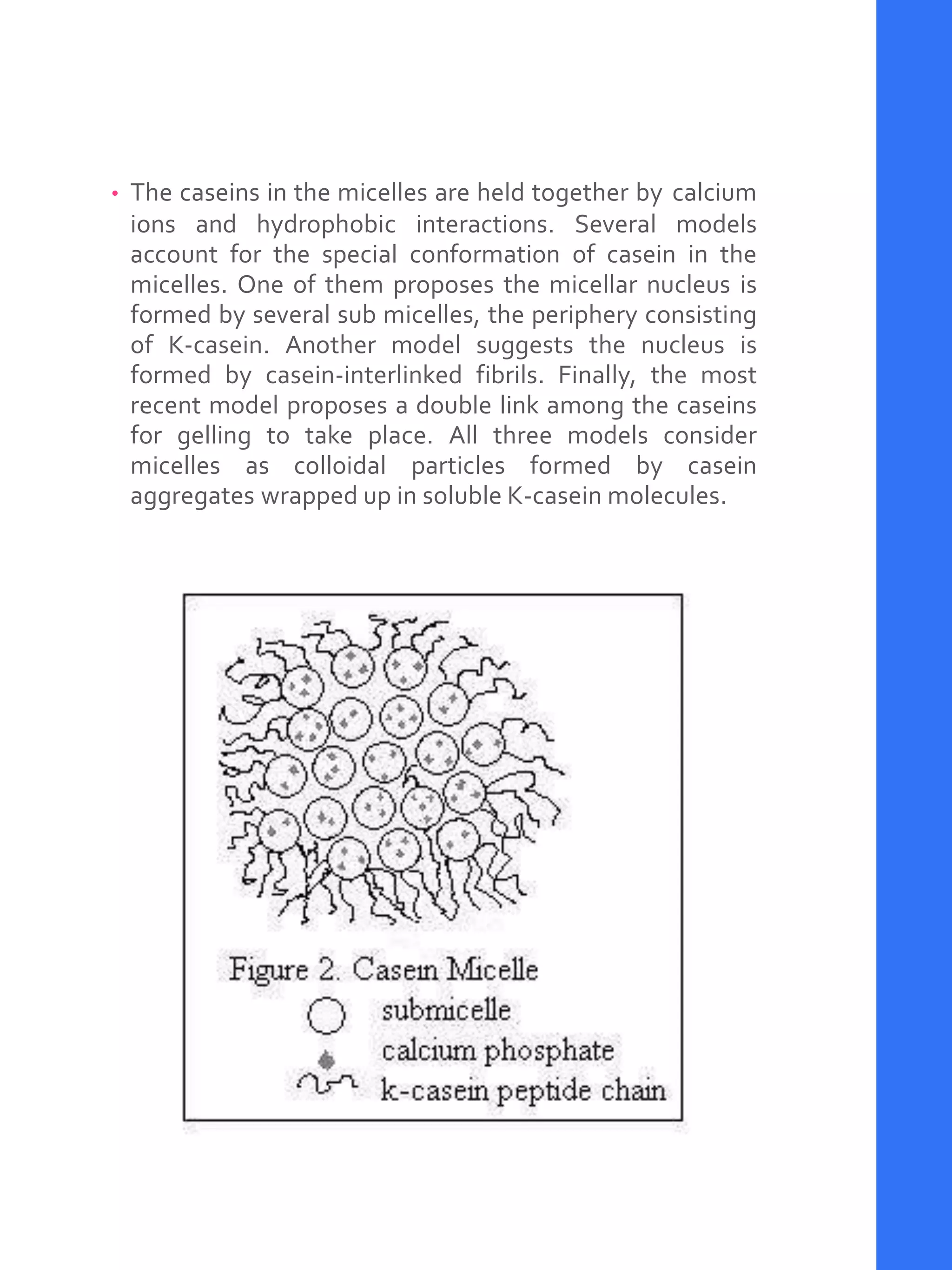 investigatory project casein Chemistry final | PPTX