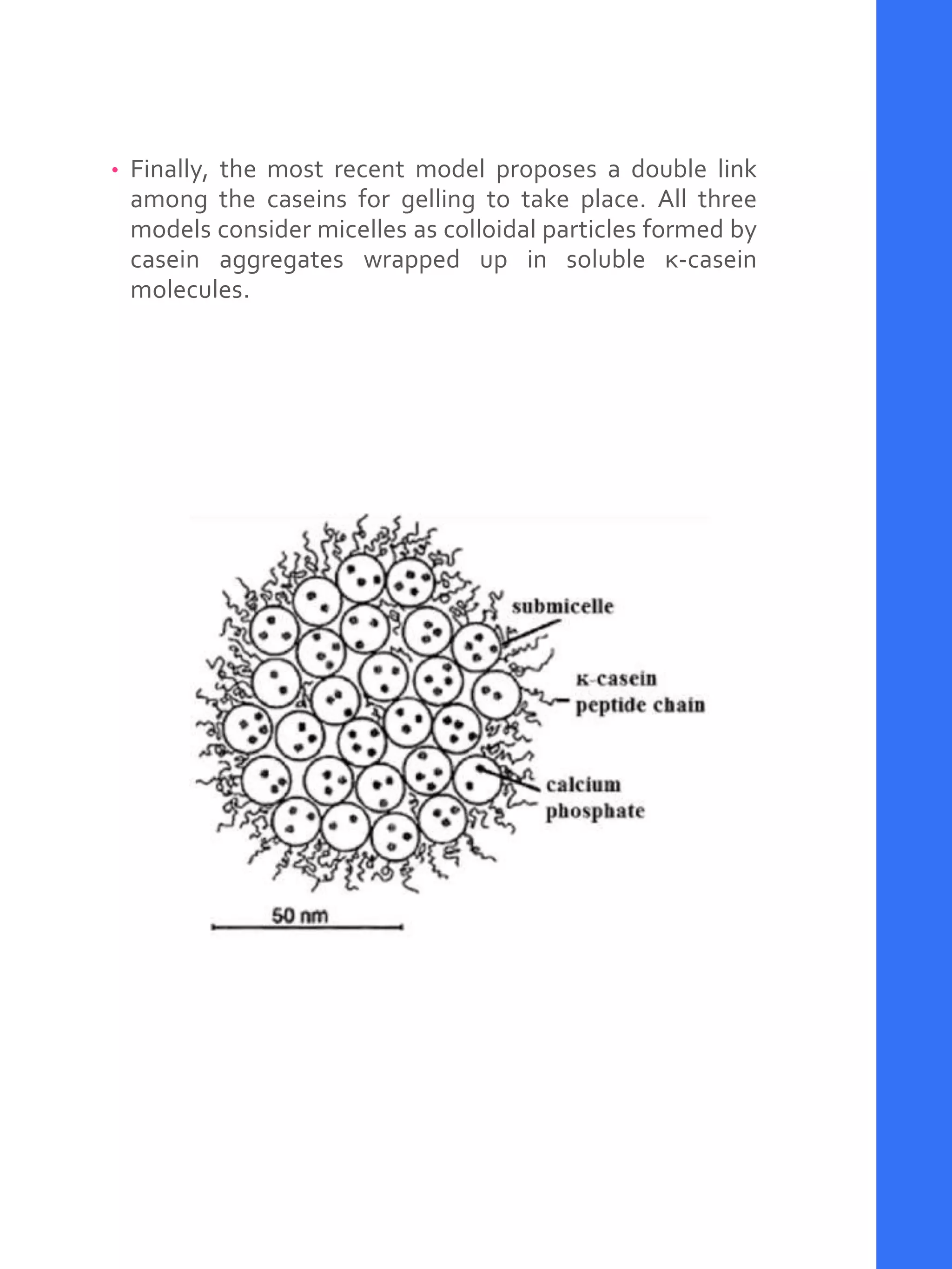 investigatory project casein Chemistry final | PPTX
