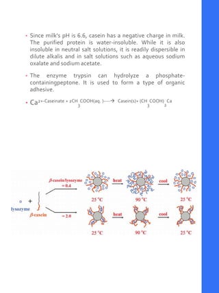 investigatory project casein Chemistry final | PPTX