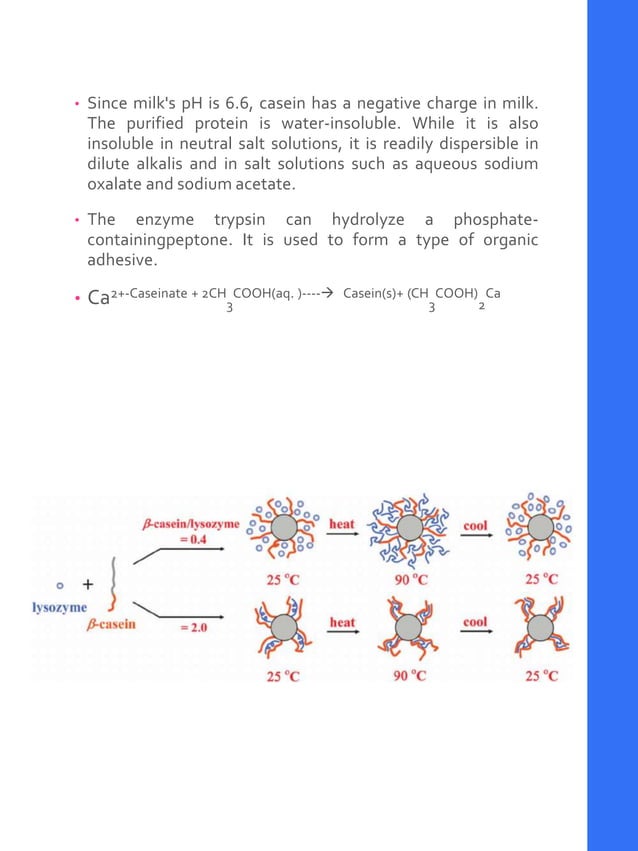 investigatory project casein Chemistry final | PPTX | Chemistry | Science