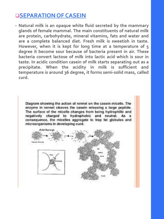 investigatory project casein Chemistry final | PPTX | Chemistry | Science