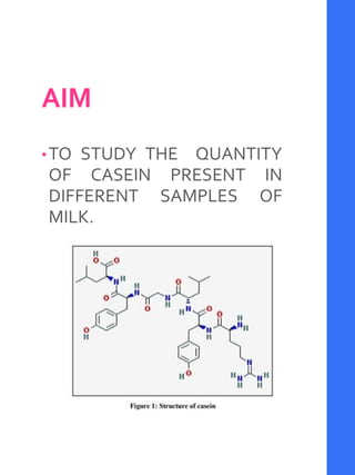investigatory project casein Chemistry final | PPTX
