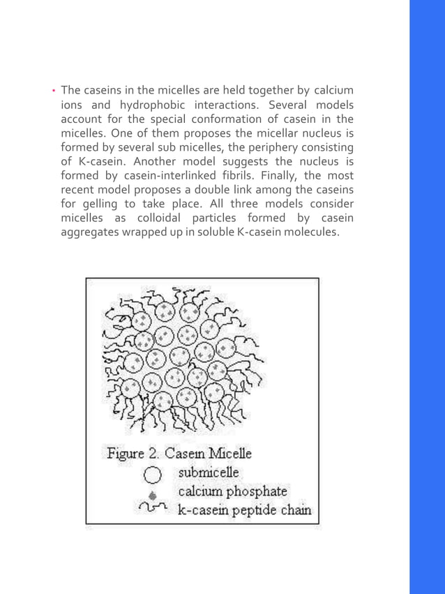 investigatory project casein Chemistry final | PPTX | Chemistry | Science