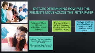 chemistry gcse Particles and Purification.pptx