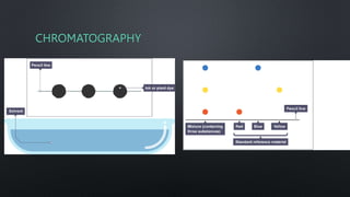 chemistry gcse Particles and Purification.pptx