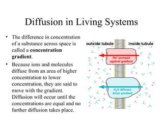Chemistry in biology i simple | PPT