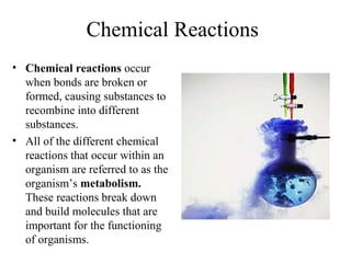 Chemistry in biology i simple | PPT