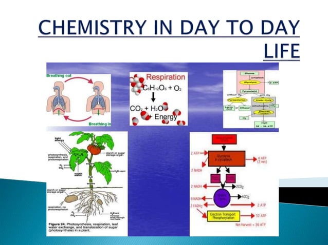 Chemistry in day to day life. | PPTX