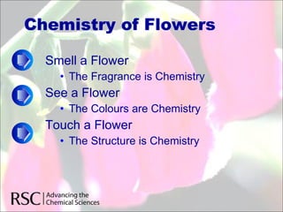 Chemistry In Our Community | PPT