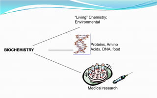 Biochemistry Examples In Everyday Life