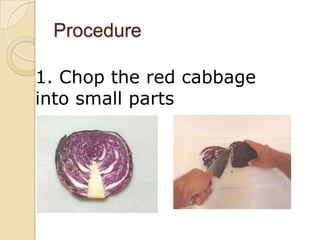 Chemistry in the kitchen | PPTX