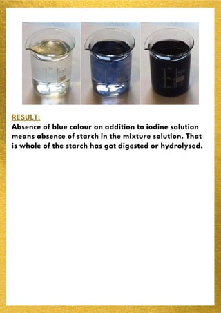 Chemistry Investigatory Project- Study of Digestion of starch by ...