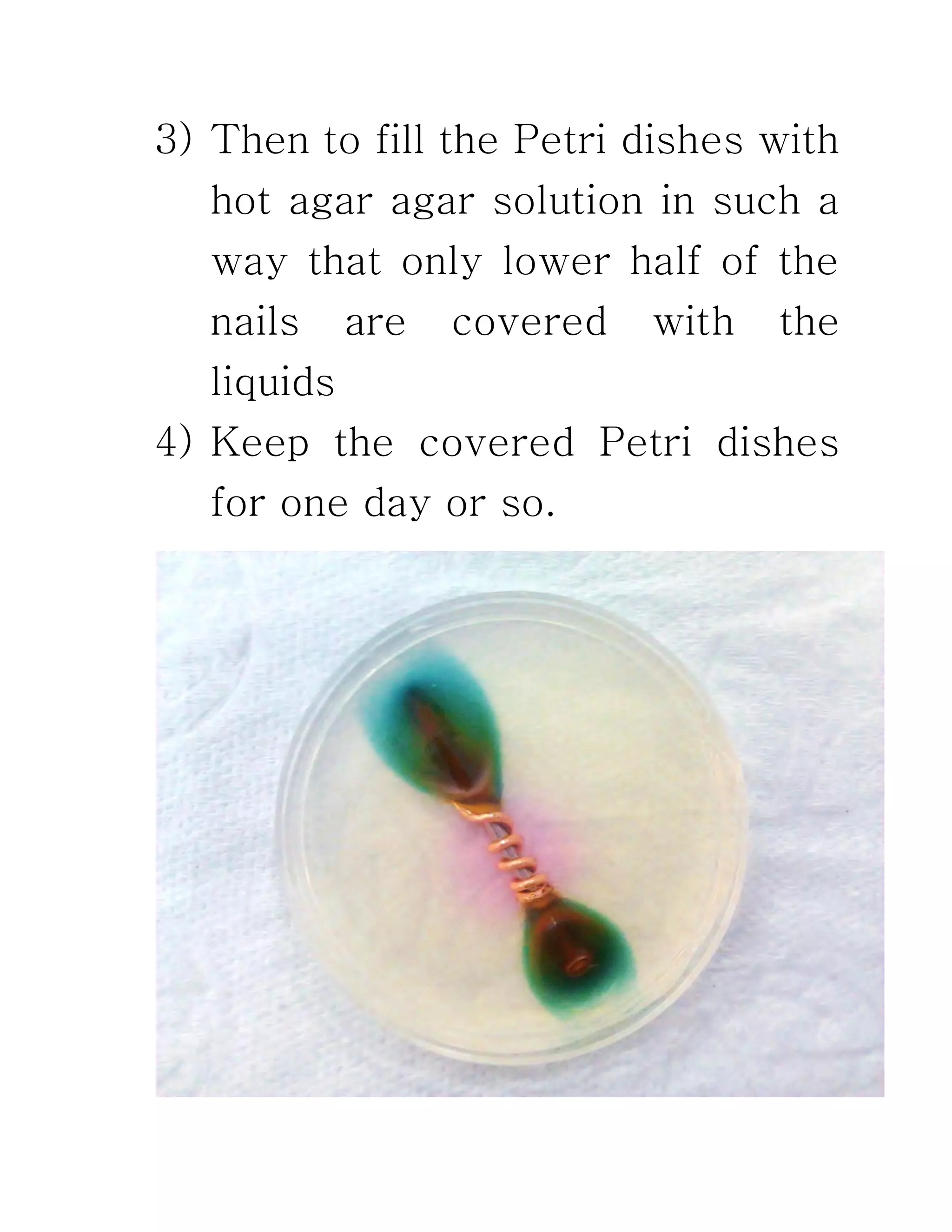 Chemistry Project on the effect of metal coupling on the rusting of ...