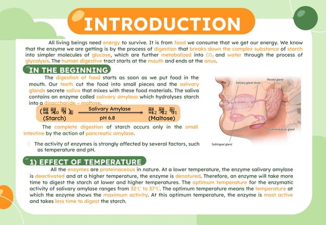 CHEMISTRY IPR 2022-23.pdf | Chemistry | Science