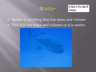 Chemistry Is Everywhere! | PPTX