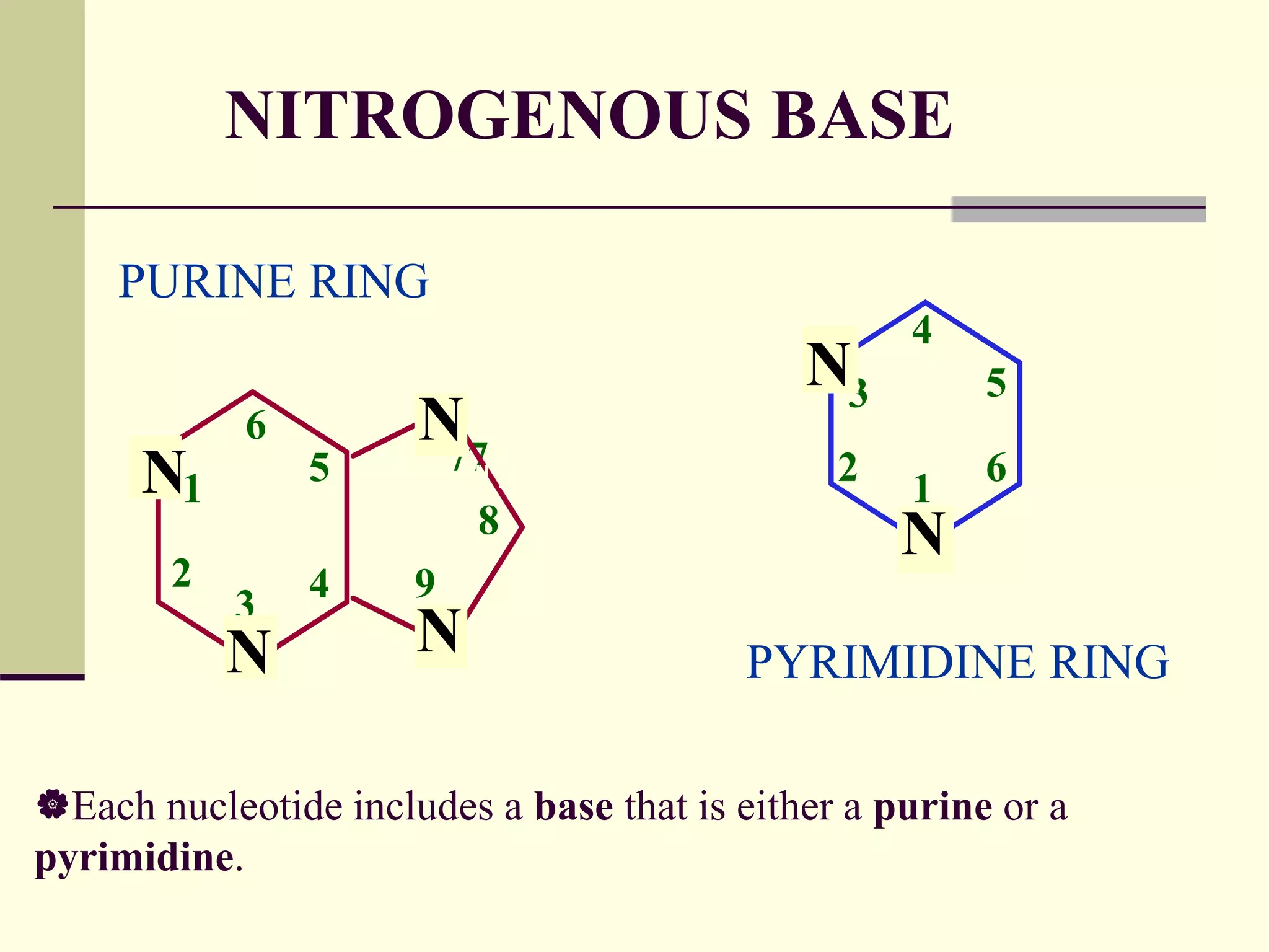 CHEMISTRY NUCLEIC ACID.ppt