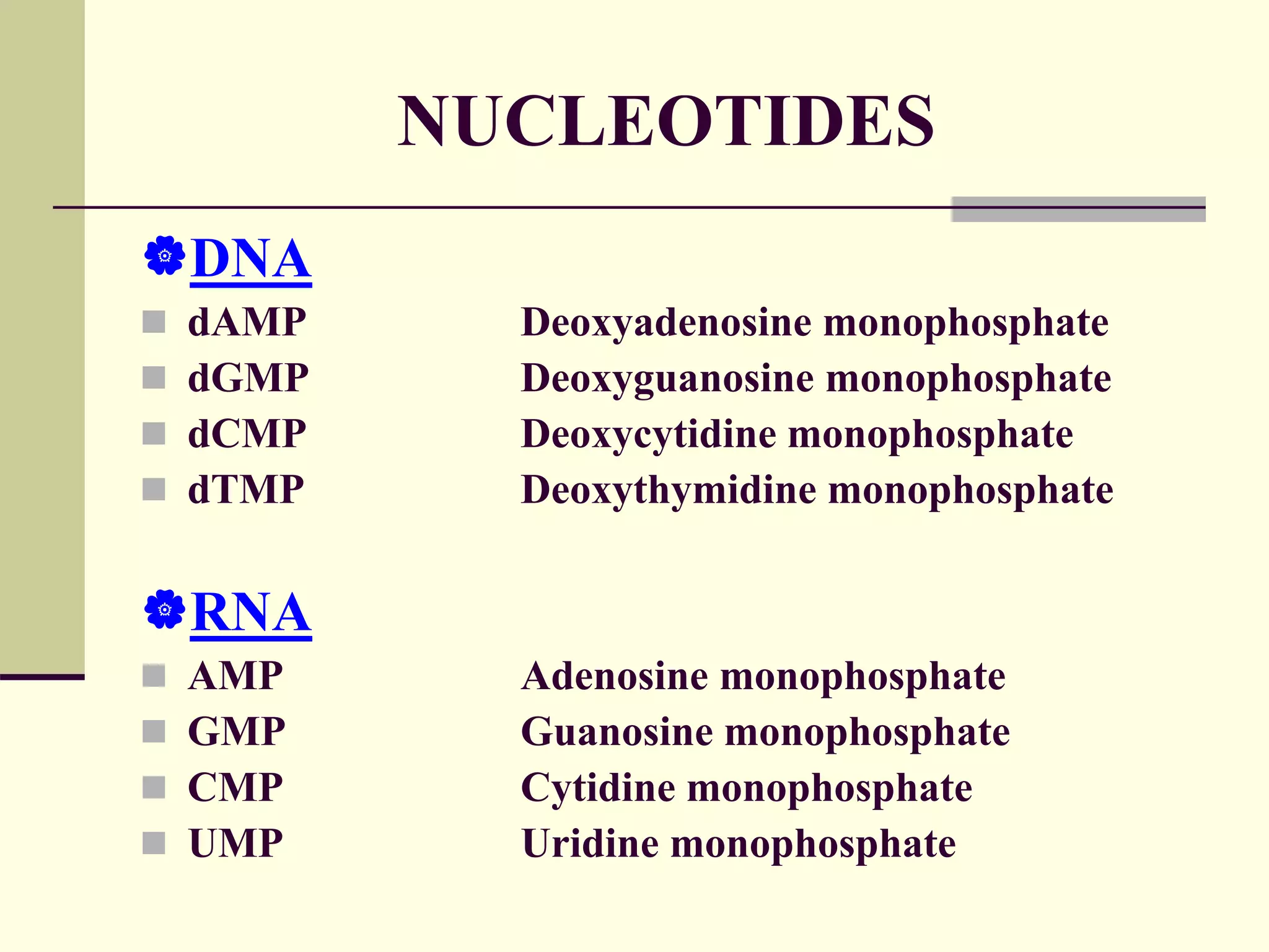CHEMISTRY NUCLEIC ACID.ppt