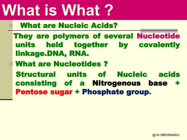 CHEMISTRY NUCLEIC ACID.ppt