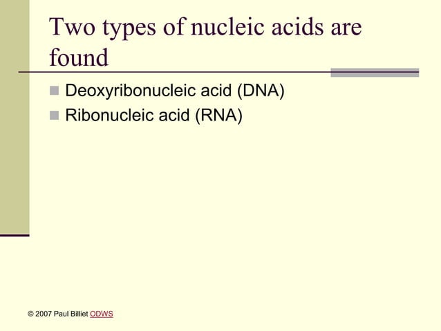 CHEMISTRY NUCLEIC ACID.ppt
